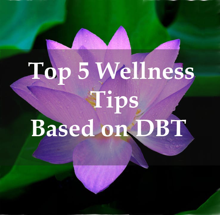 Top 5 Wellness Tips Based on DBT